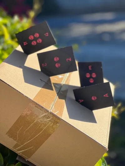 Assassin's Deck Throwing Card Set by HotDogKingMakerWorld: Download ...