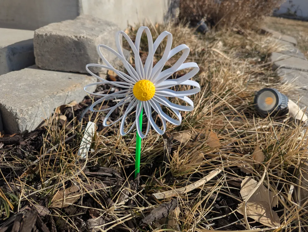 Daisy Pinwheel by Pound Cake MakerWorld: Download Free 3D Models