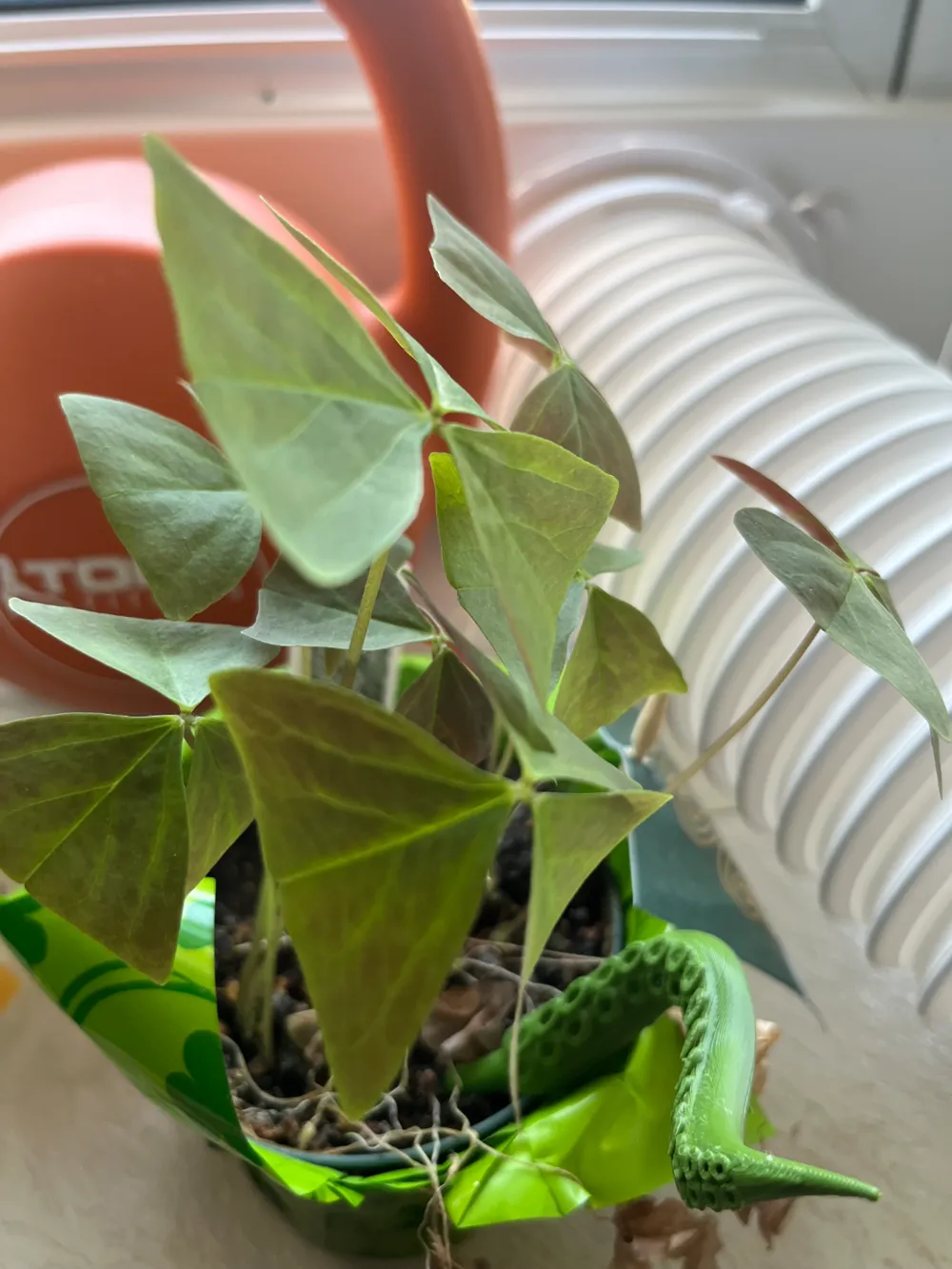 Octopus plant legs accessories by Zoidbergererer MakerWorld: Download ...