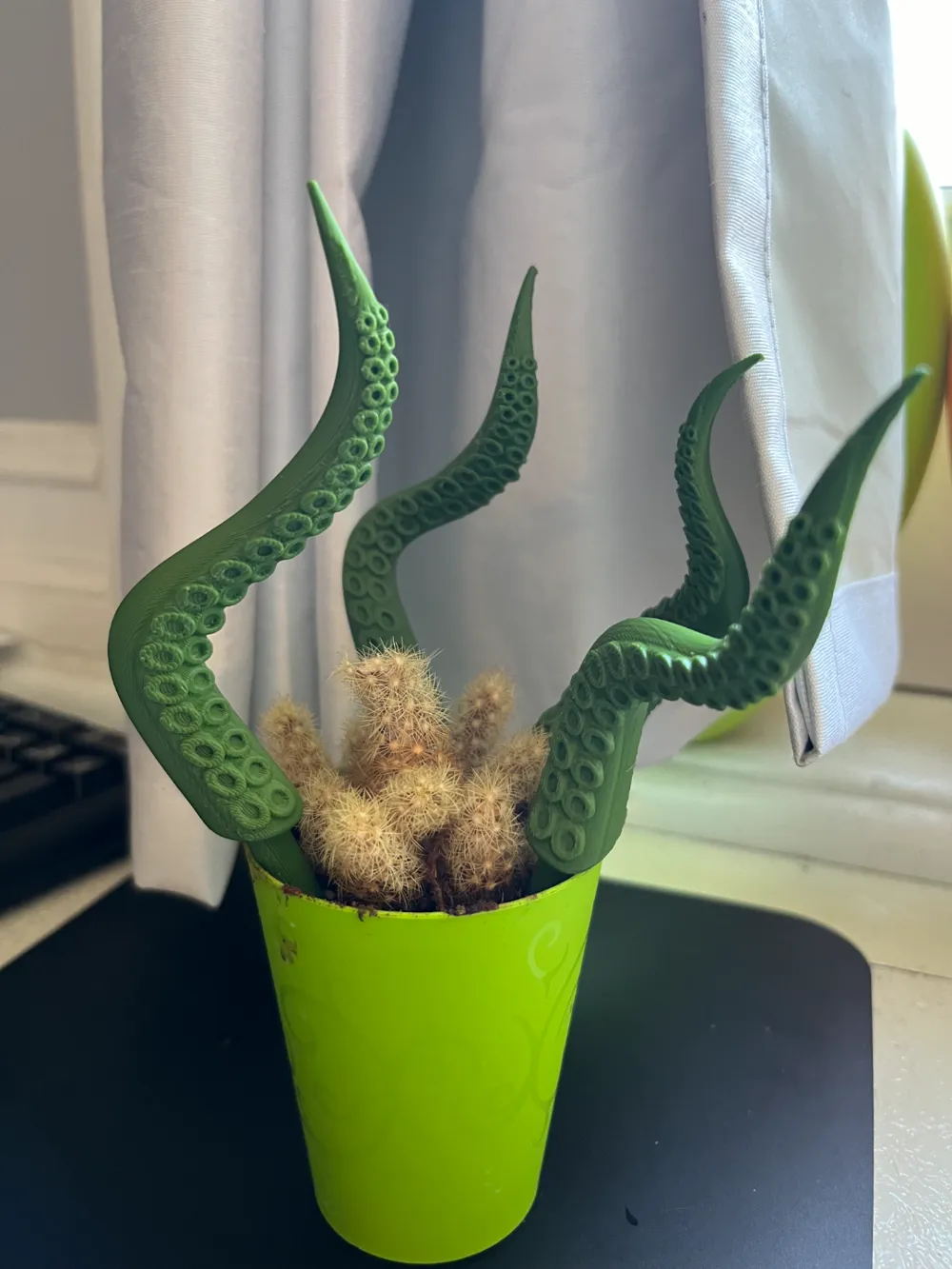 Octopus plant legs accessories by Zoidbergererer MakerWorld: Download ...