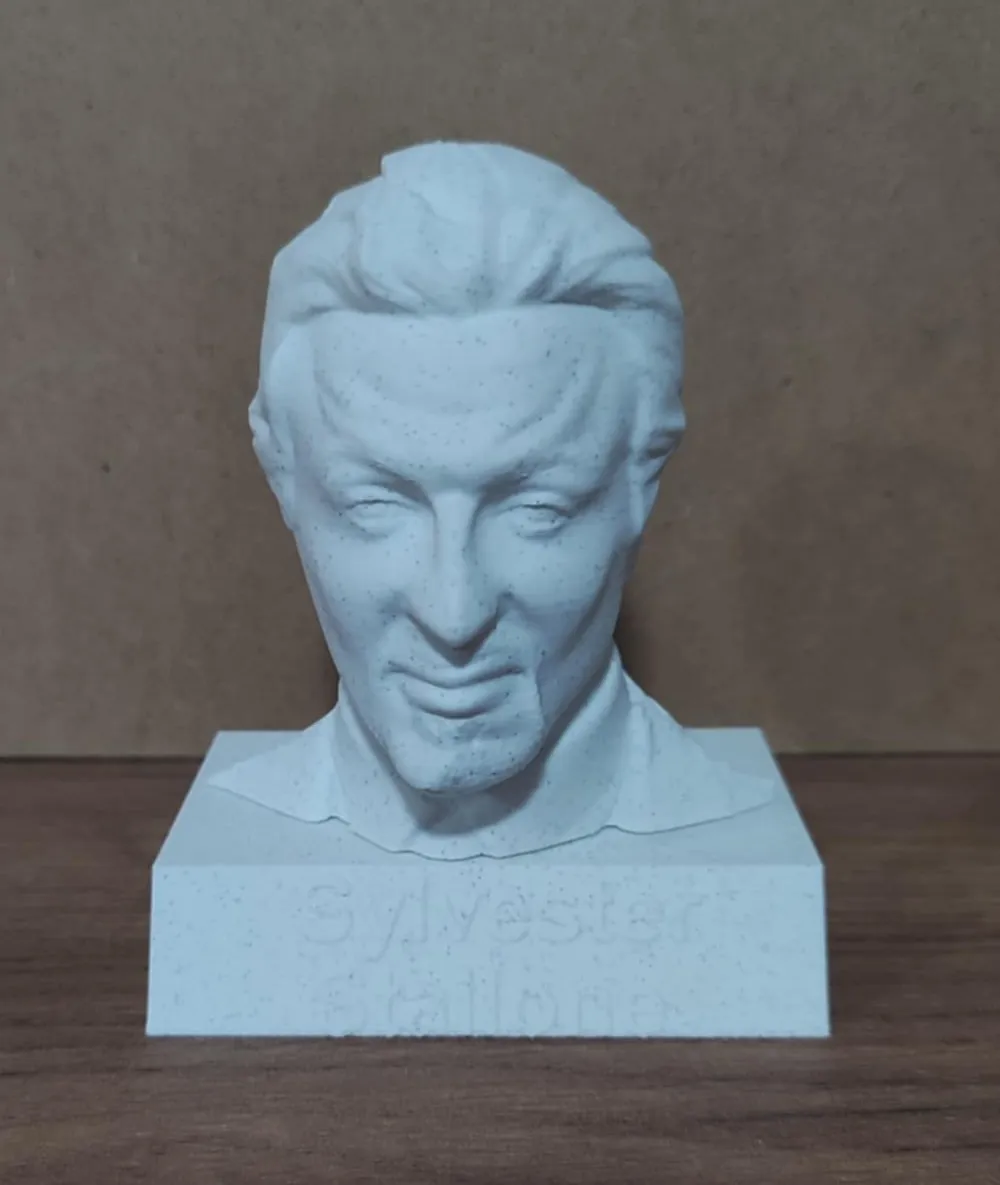 Bust Sylvester Stallone by SwotariCZ - MakerWorld