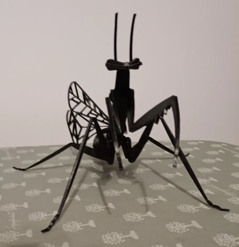 MANTIDE 3D PUZZLE by Cios85 MakerWorld: Download Free 3D Models