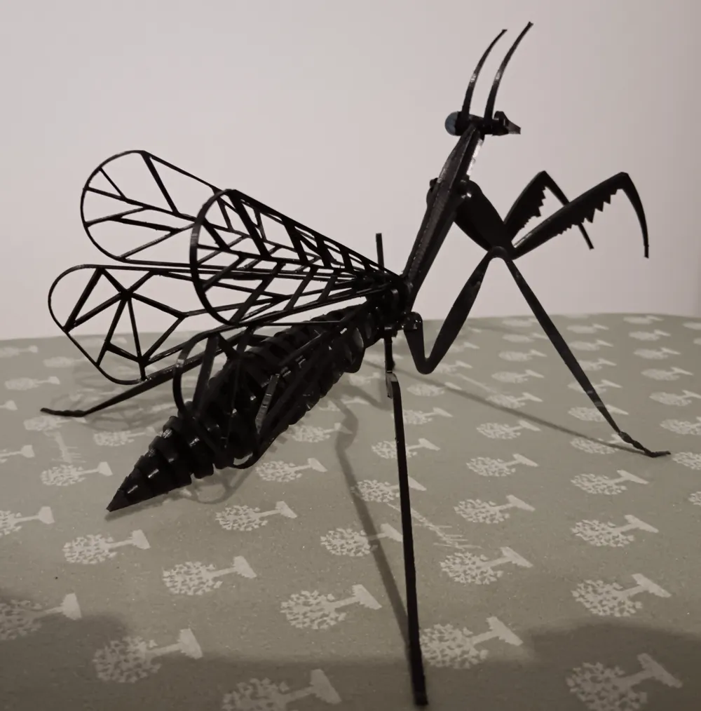 MANTIDE 3D PUZZLE by Cios85 MakerWorld: Download Free 3D Models