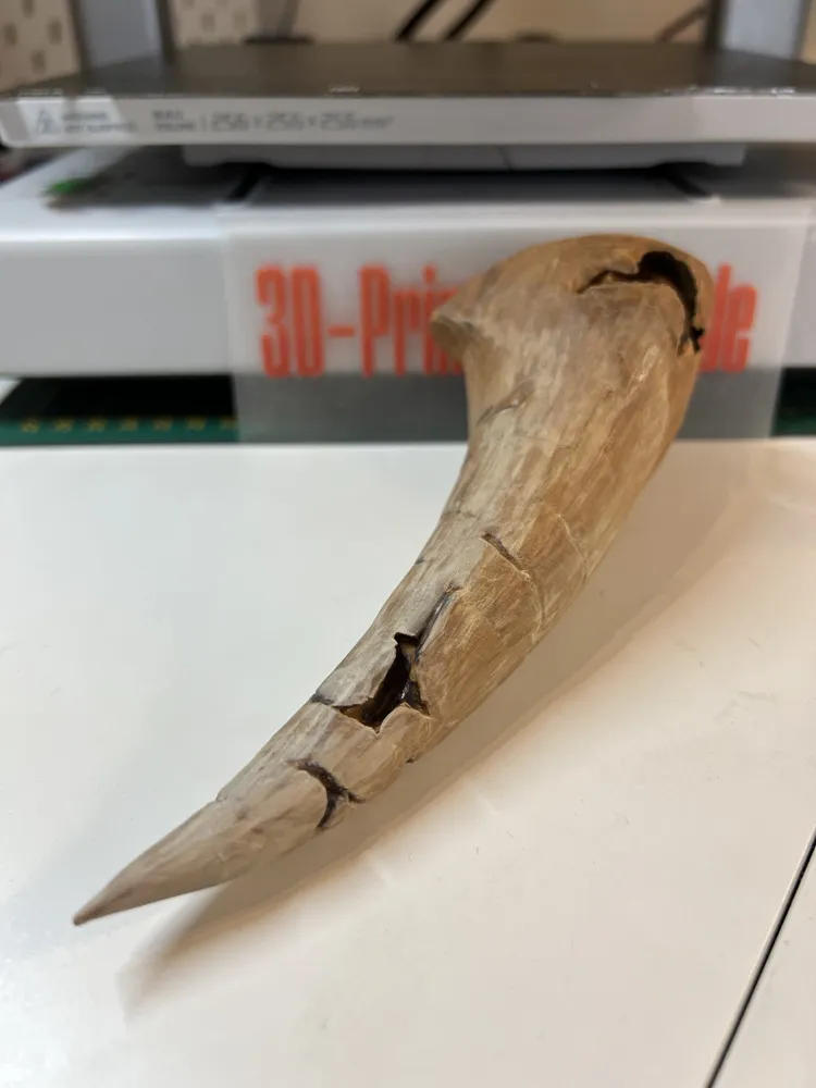 T-Rex Claw - a Claw of from a Tyranosaurus Rex by 3D-Print-World ...