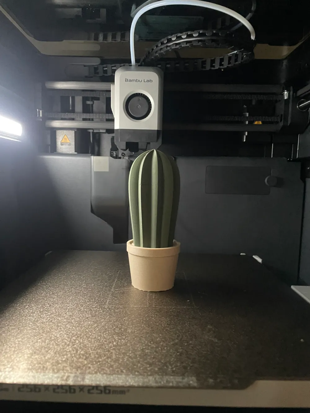 cactus in pots by 3d printing MakerWorld: Download Free 3D Models