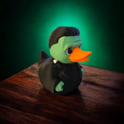 Frankenstein Rubber Ducky Toy Monster Figure by johnnyTbird MakerWorld ...