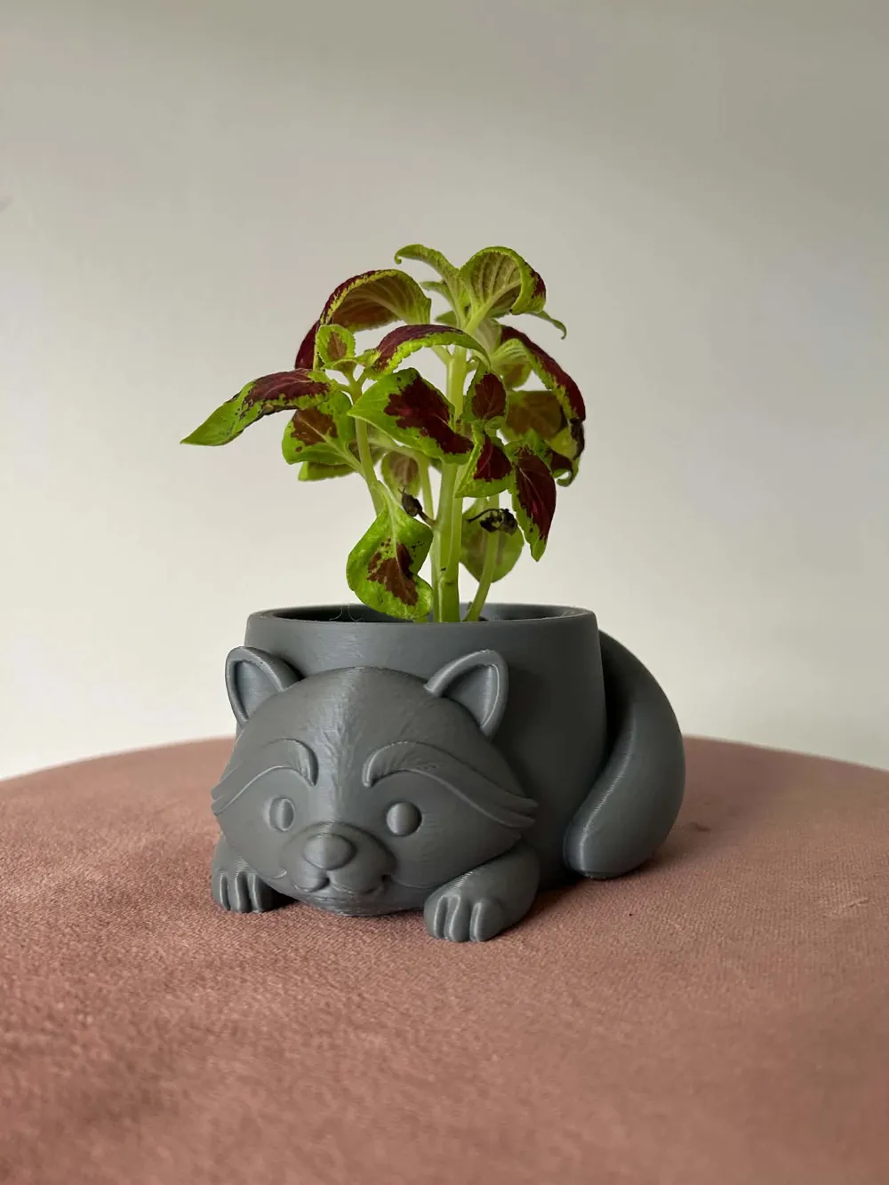 Cute Raccoon Planter - Free 3D Print Model - MakerWorld