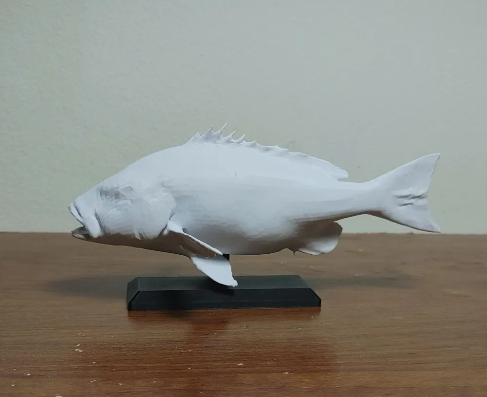 Red Snapper Fish Mount by Fish Prints - MakerWorld