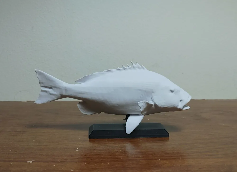 Red Snapper Fish Mount by Fish Prints - MakerWorld