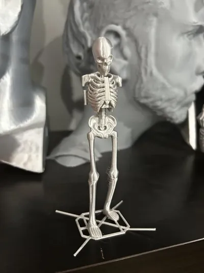 Giant-Sized Skelly Home Depo Skeleton Yard Décor by Timberlake ...