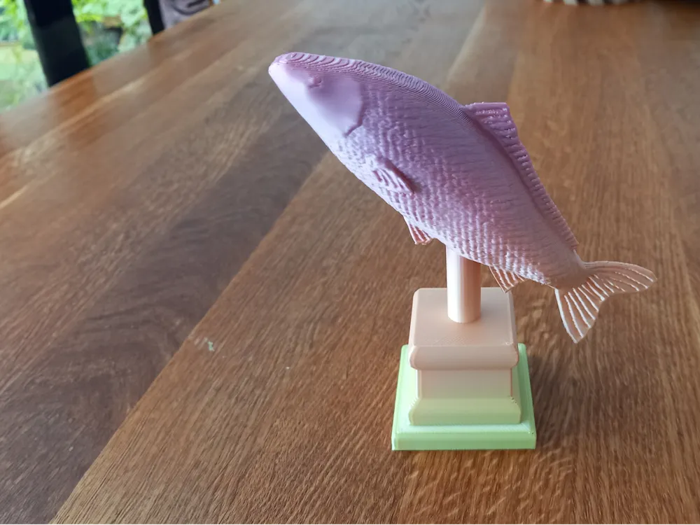 Carp fishermans trophy by prokopzeleny MakerWorld: Download Free 3D Models