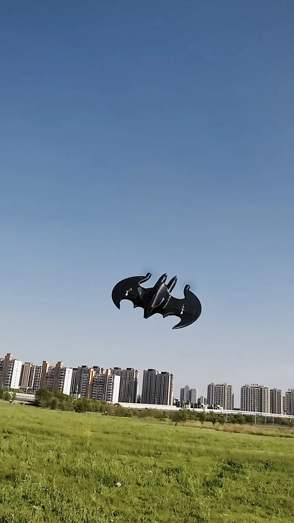 BatWing Dual-Motor Remote Control Flying Wing - Free 3D Print Model ...