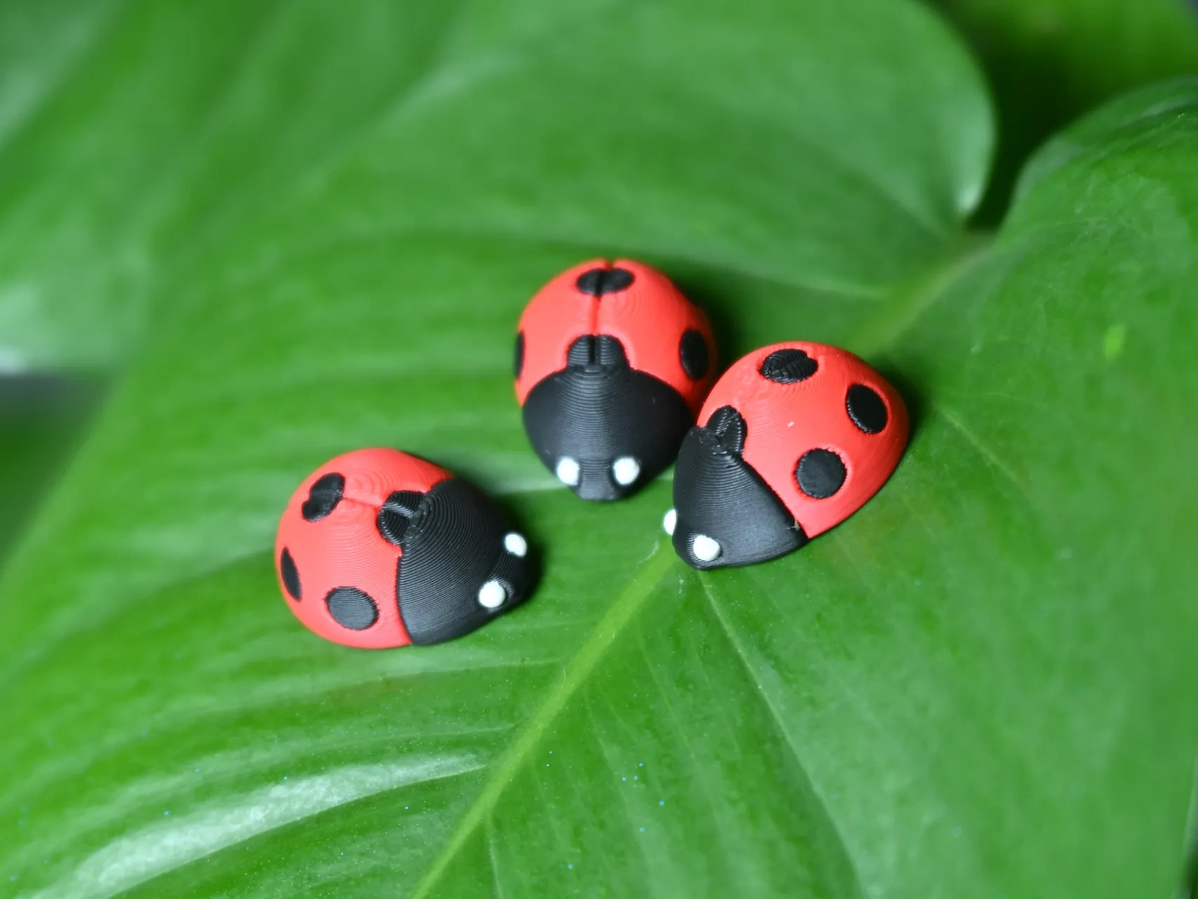 Seven-spotted ladybug~Ladybug by puresa - MakerWorld