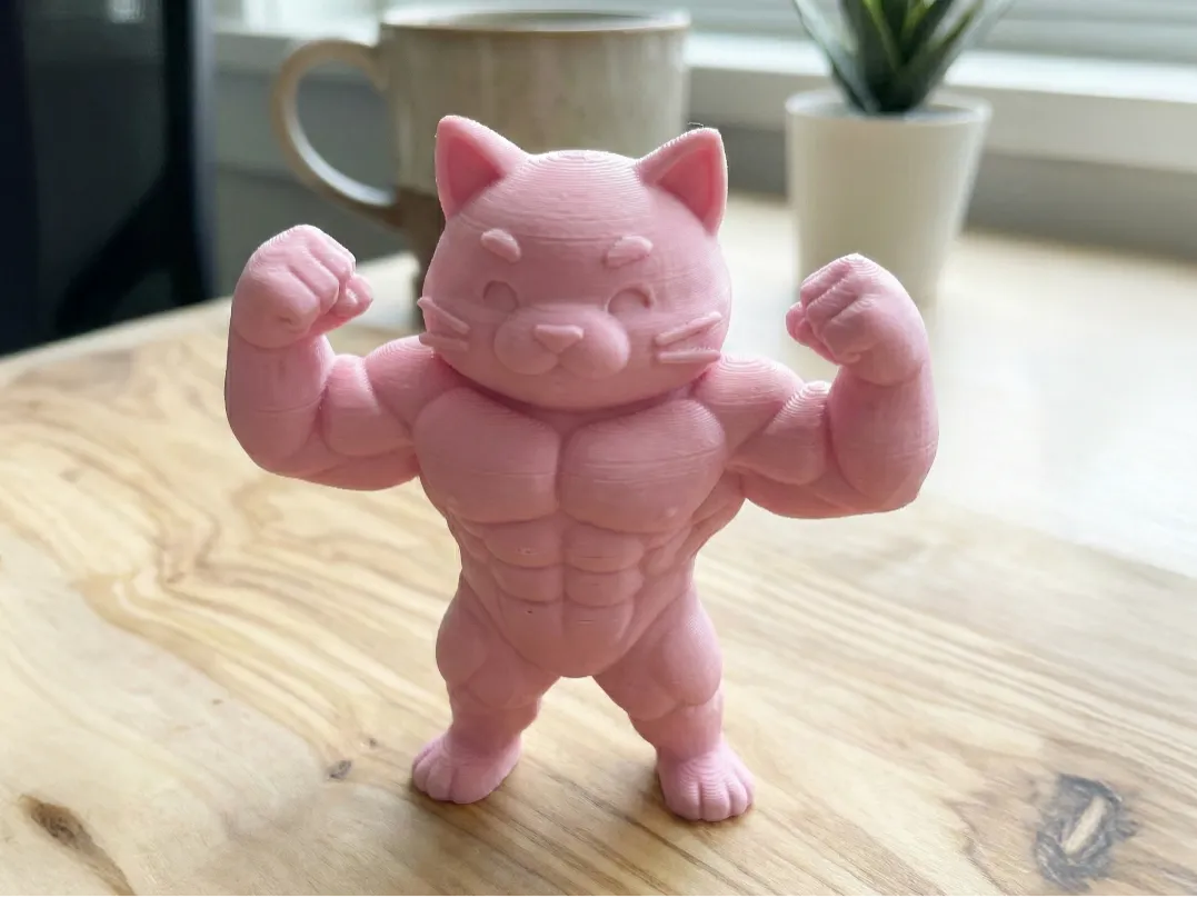 Muscular Cat (Physical 100 Animal Edition) - Free 3D Print Model ...