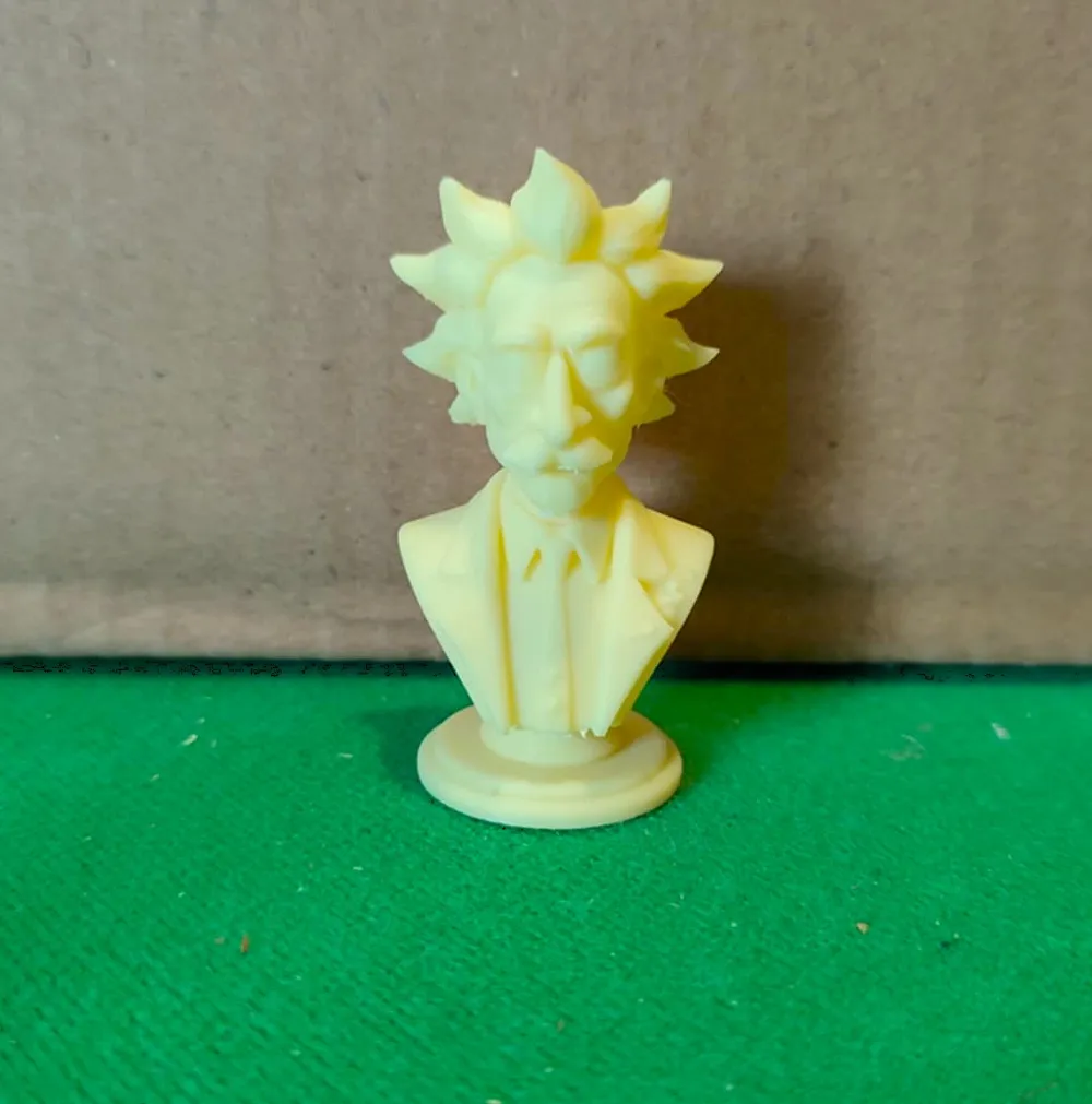 Bust Rick Sanchez / Albert Einstein by Swotar MakerWorld: Download Free ...