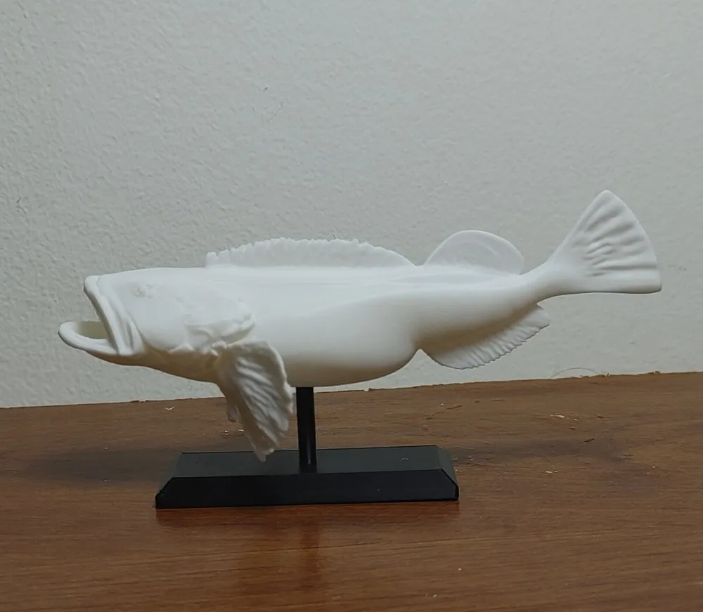 Lingcod Fish Mount by Fish Prints MakerWorld: Download Free 3D Models