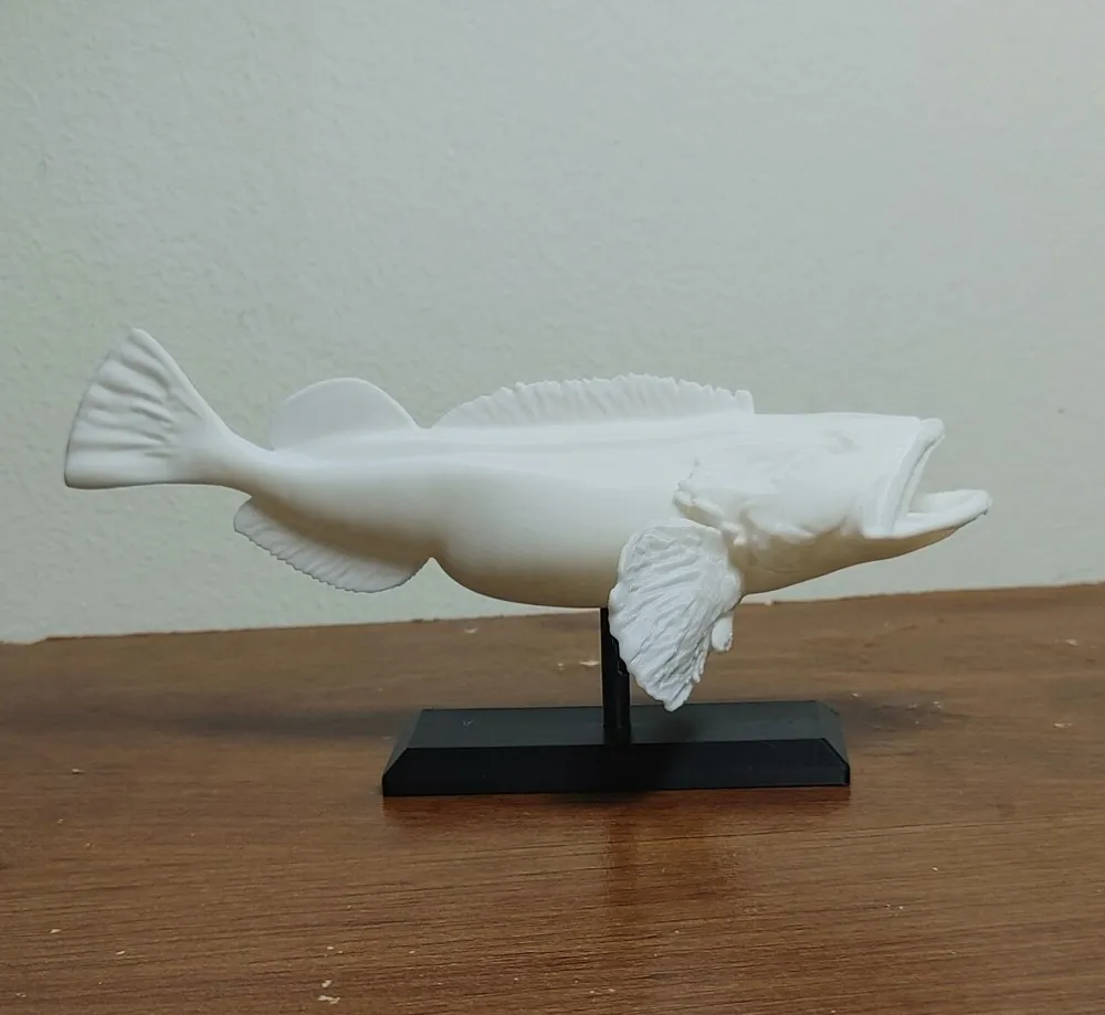 Lingcod Fish Mount by Fish Prints MakerWorld: Download Free 3D Models