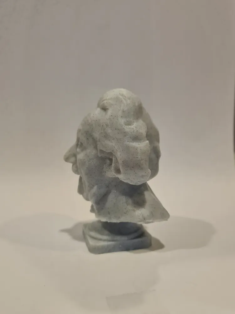 Statue Head: Albert Einstein - Free 3D Print Model - MakerWorld
