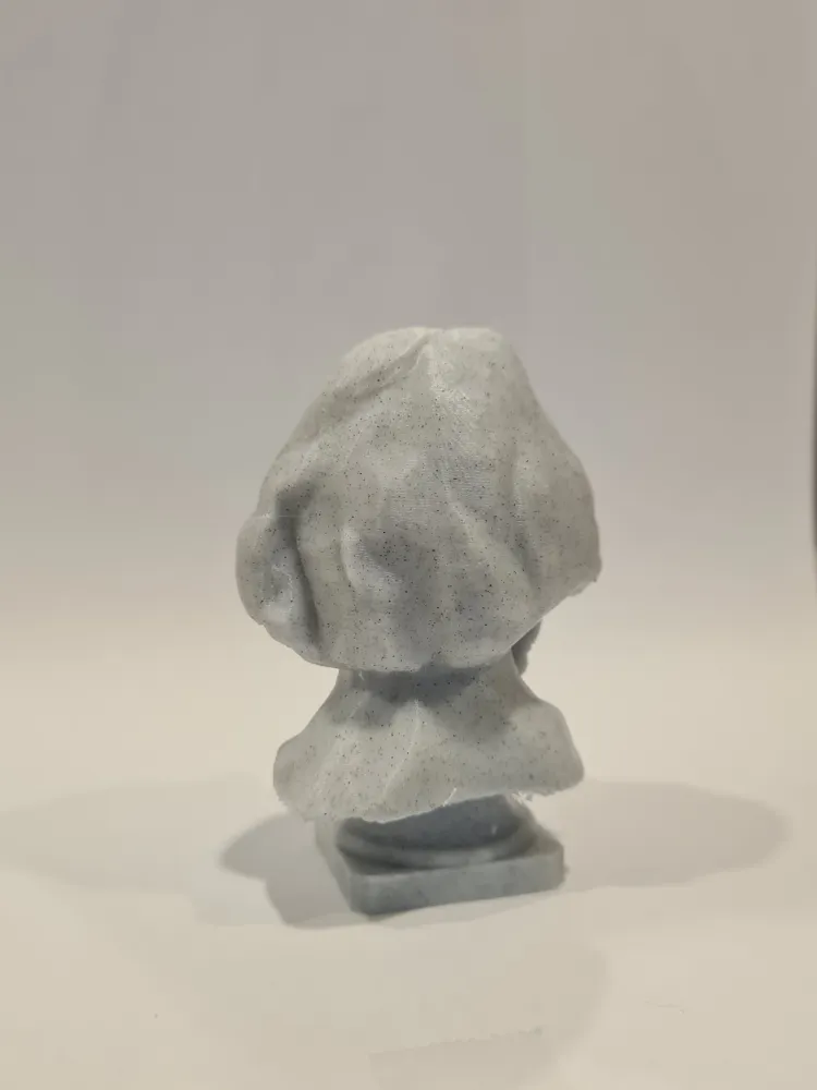 Statue Head: Albert Einstein - Free 3D Print Model - MakerWorld