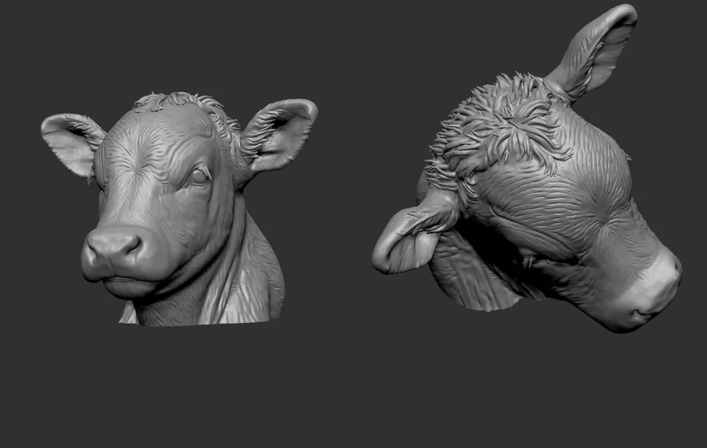 calf head bust - Free 3D Print Model - MakerWorld
