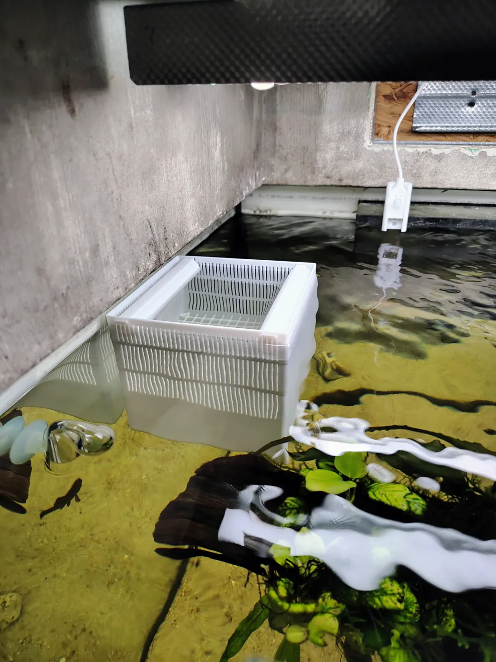 Floating breeding box for fish tank /aquarium by szczudlo robi - MakerWorld