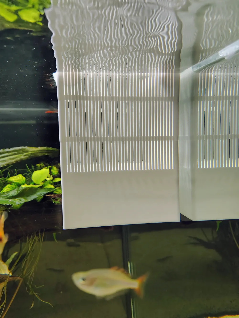 Floating breeding box for fish tank /aquarium by szczudlo robi - MakerWorld