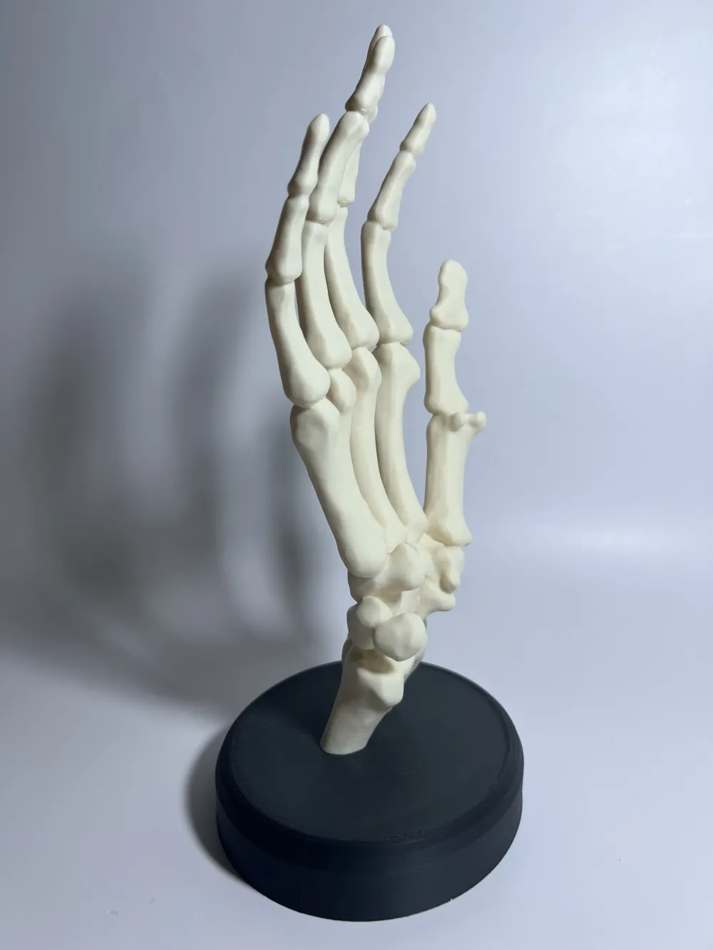 Skeletal Hand with Base - Free 3D Print Model - MakerWorld