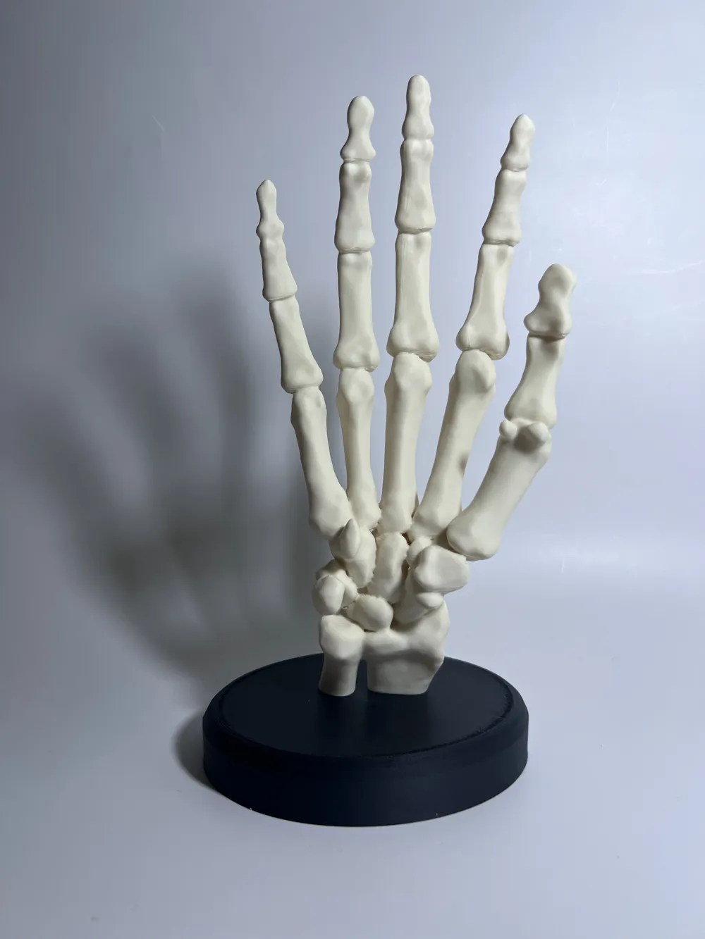 Skeletal Hand with Base - Free 3D Print Model - MakerWorld