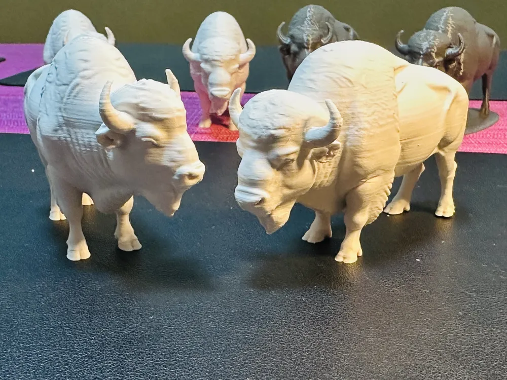 American Buffalo (Bison) by JAV-3D MakerWorld: Download Free 3D Models