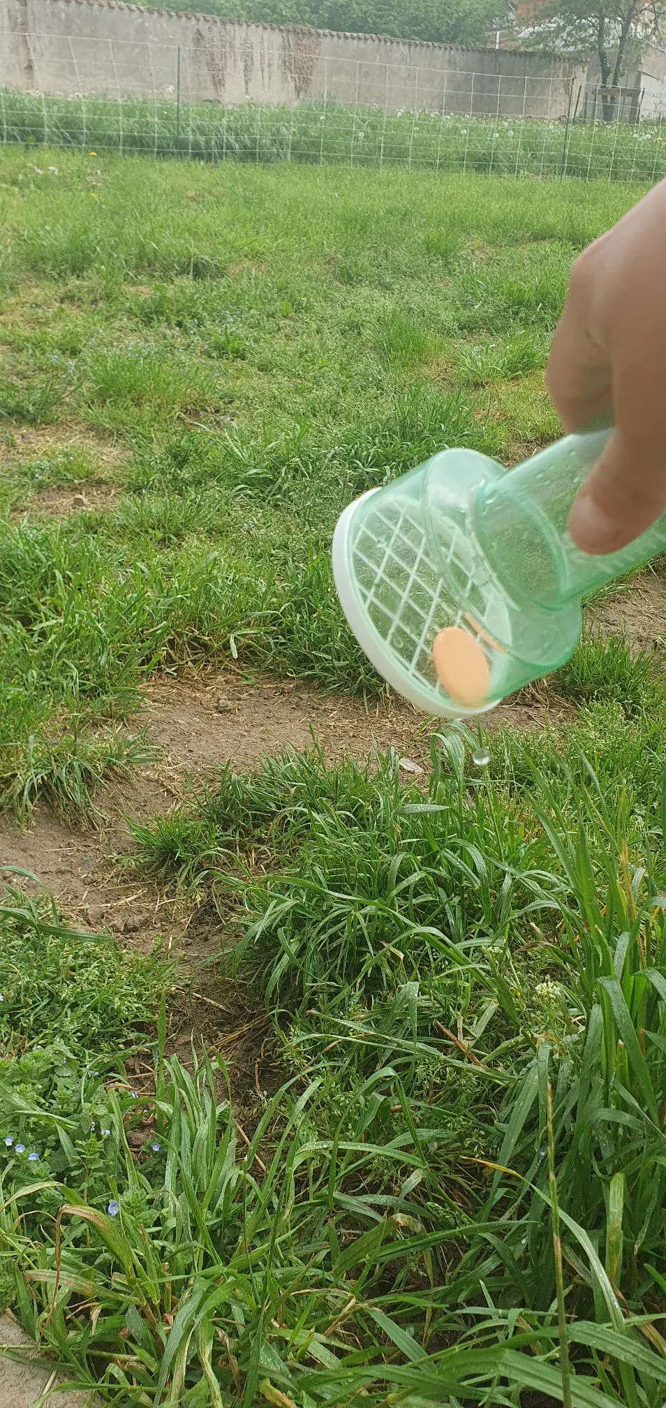 Rain Gauge Grid and Float - Free 3D Print Model - MakerWorld