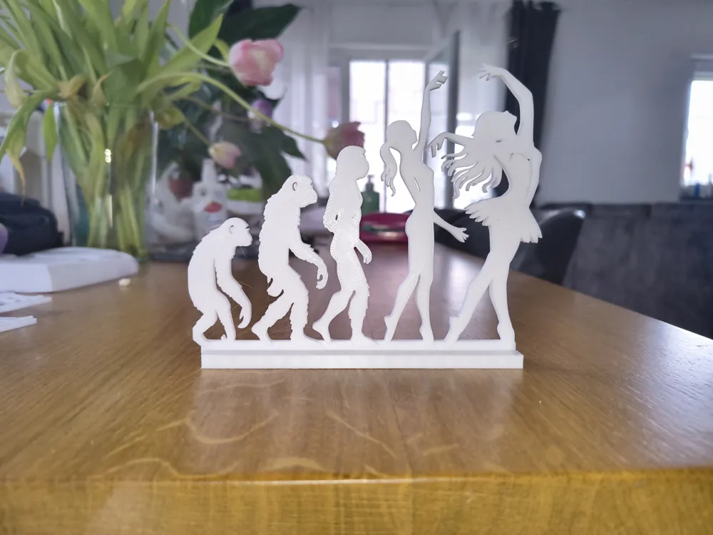 Human Evolution Silhouette – Girl Dancing by ccrccrdk MakerWorld ...