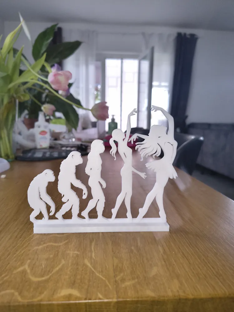 Human Evolution Silhouette – Girl Dancing by ccrccrdk MakerWorld ...
