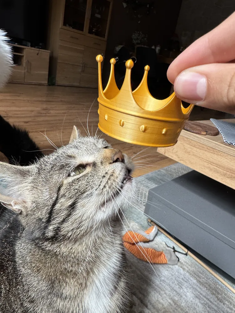 Royal Paws // Pet Crown - Free 3D Print Model - MakerWorld