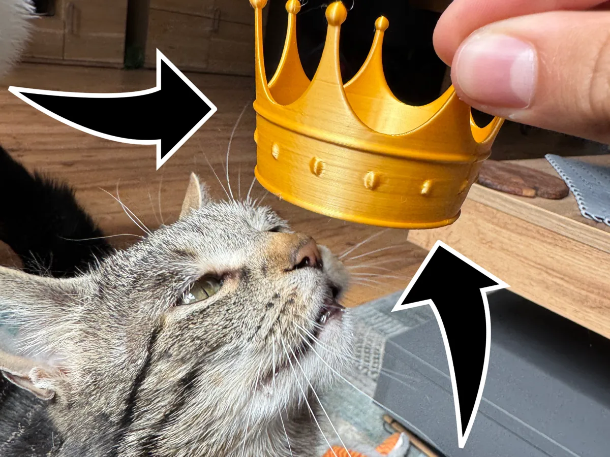 Royal Paws // Pet Crown - Free 3D Print Model - MakerWorld