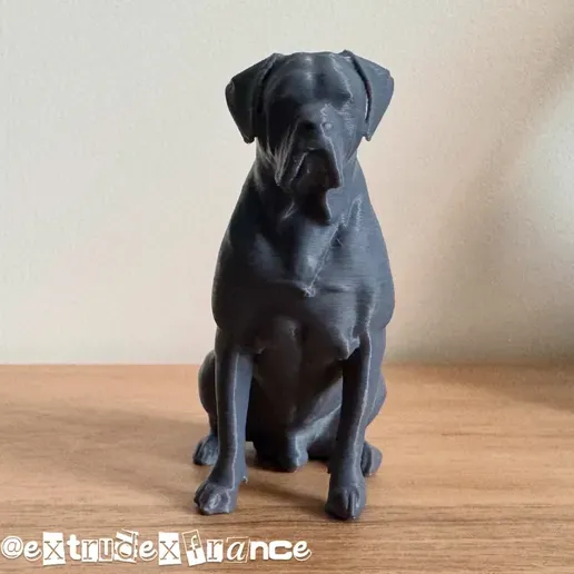 CANE CORSO – Highly Realistic and Detailed 3D Model - Free 3D Print ...