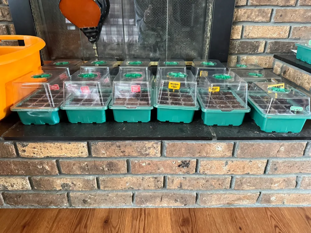 Customizable Labels For Your Seedlings! by William MakerWorld: Download ...