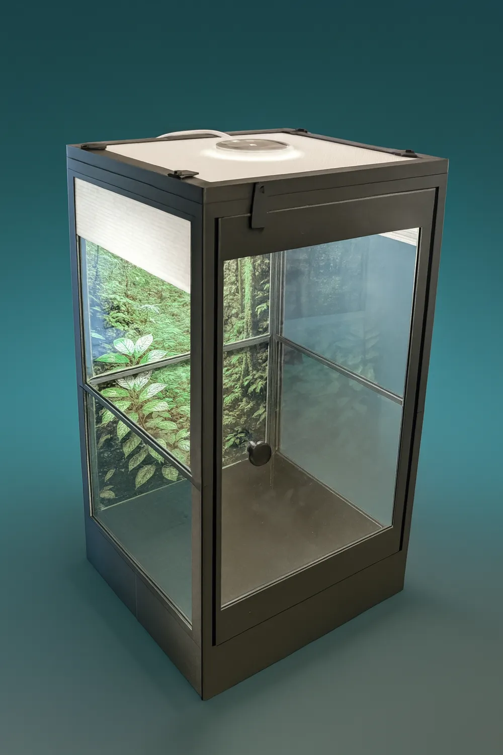 DIY Terrarium 235x220x430mm with HueForge Back Panel - Free 3D Print ...