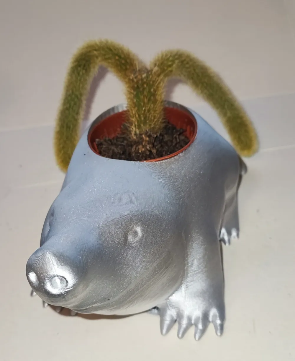 mole cactus planter by peace or pieces - MakerWorld