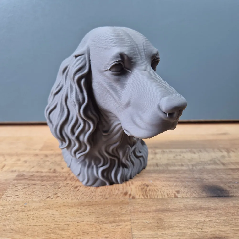 Irish Setter Bust by Mr.Jay MakerWorld: Download Free 3D Models