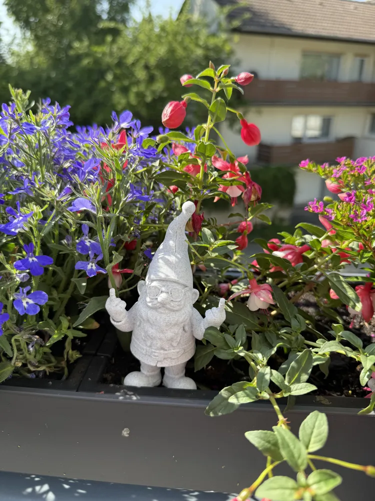 Rebel Rudy – The Sassy Garden Gnome by Maraxos MakerWorld: Download ...