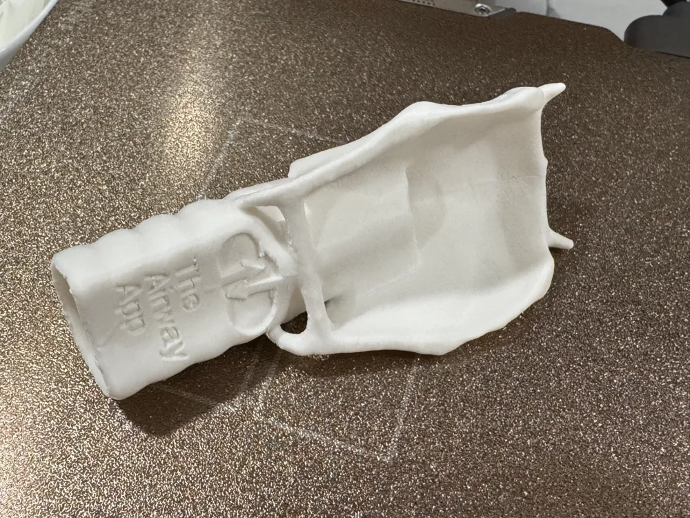 Cric Airway Trainer Remixed by GSam85 MakerWorld: Download Free 3D Models