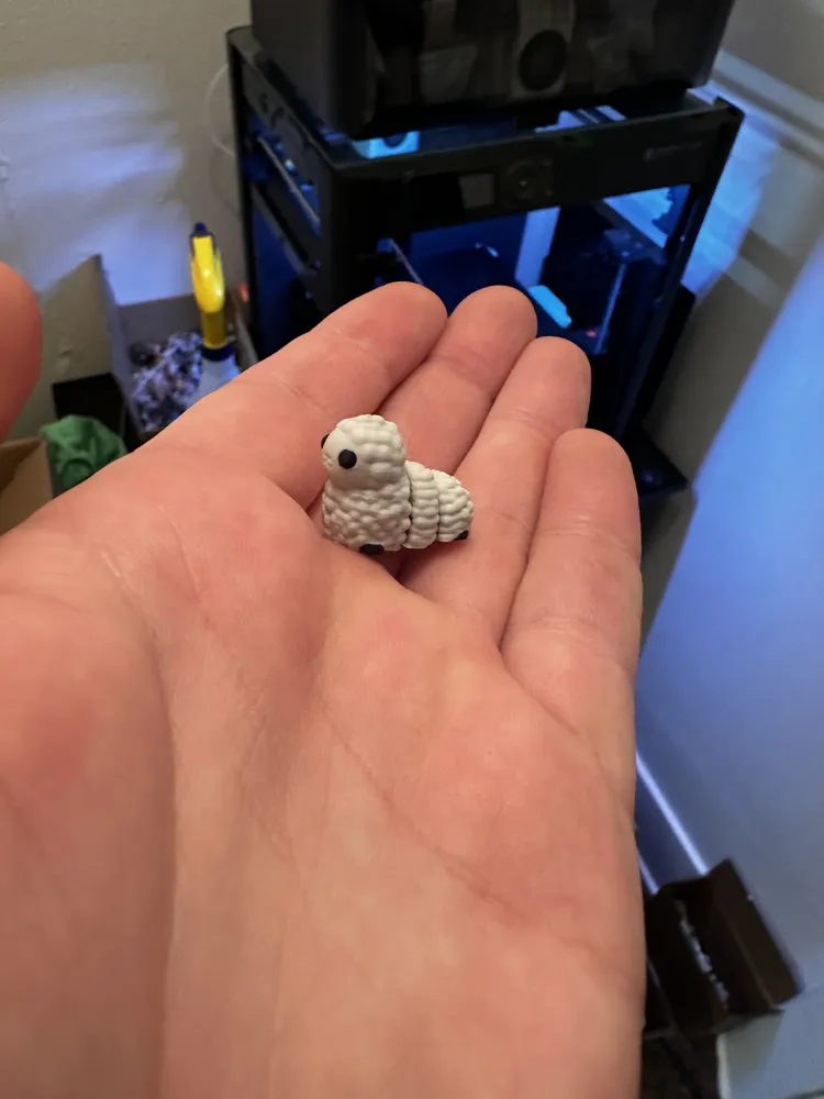 Cute Articulating Lamb / Sheep by Thomas Sundberg MakerWorld: Download Free 3D Models