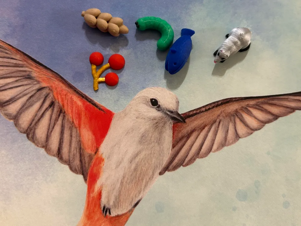 Wingspan Food Tokens (Base Game) Remixed by tjhoven74 MakerWorld ...