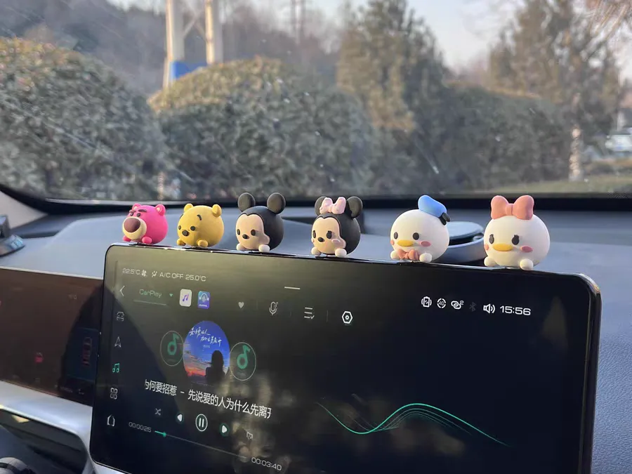 All the Disney characters! [Winnie the Pooh], Lotso, Mickey Mouse, Minnie Mouse, Daisy Duck ...