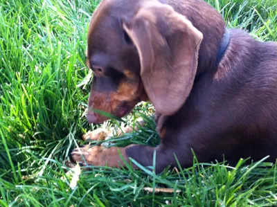 ftc 3d print model download - MakerWorld