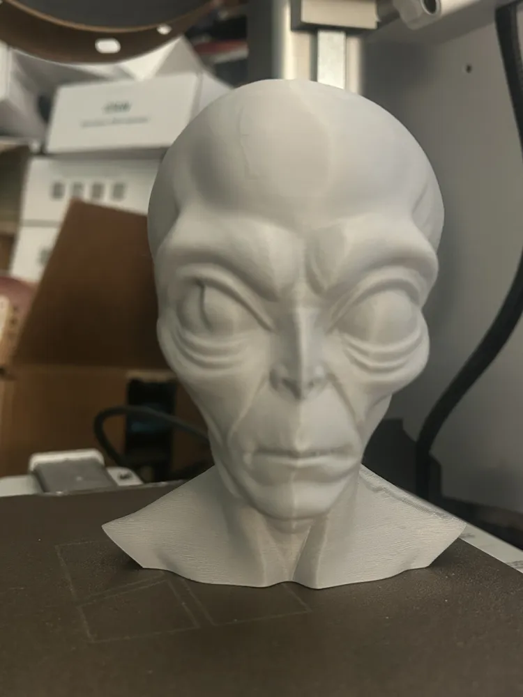 Alien Grey bust by jrbcustomdesigns MakerWorld: Download Free 3D Models