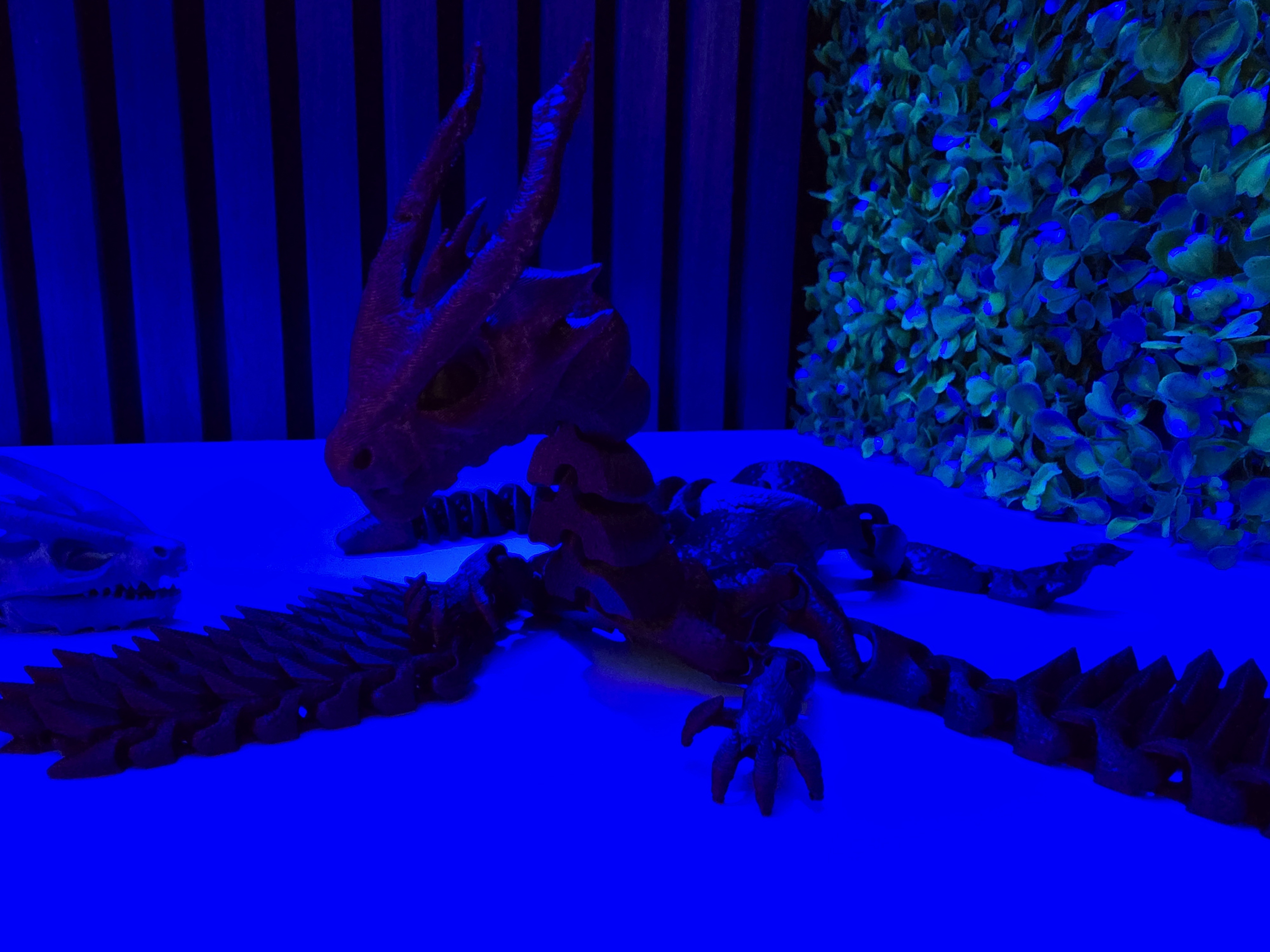 Article - FilliFuu - MakerWorld