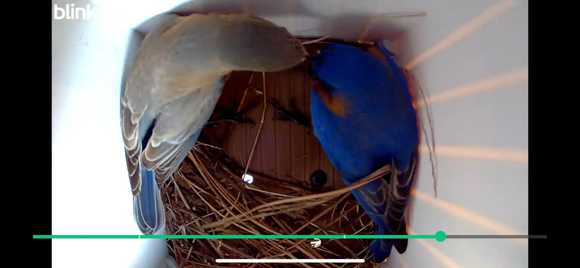 文章 - Michele - MakerWorld