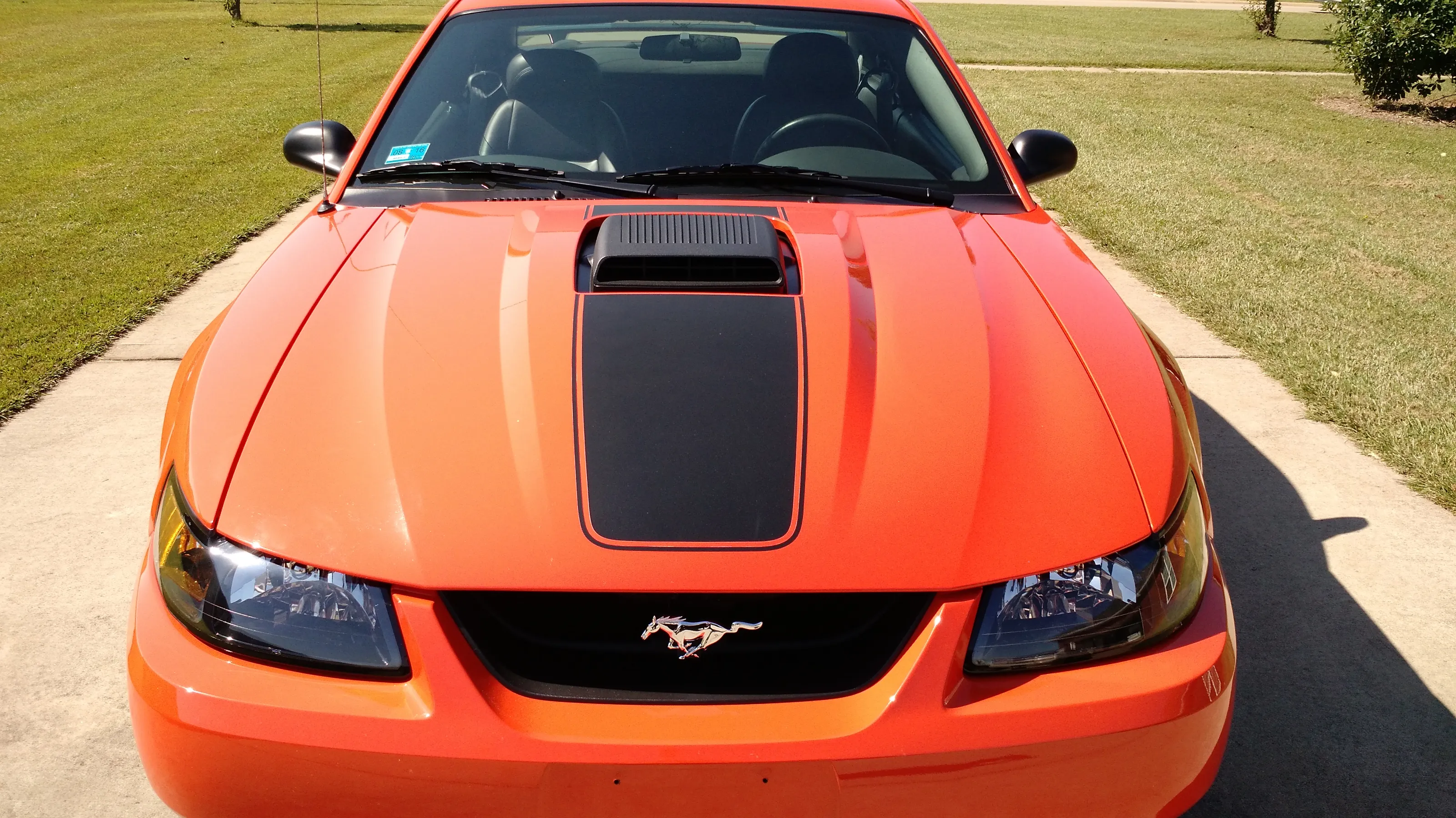 Jay | Collections - MakerWorld