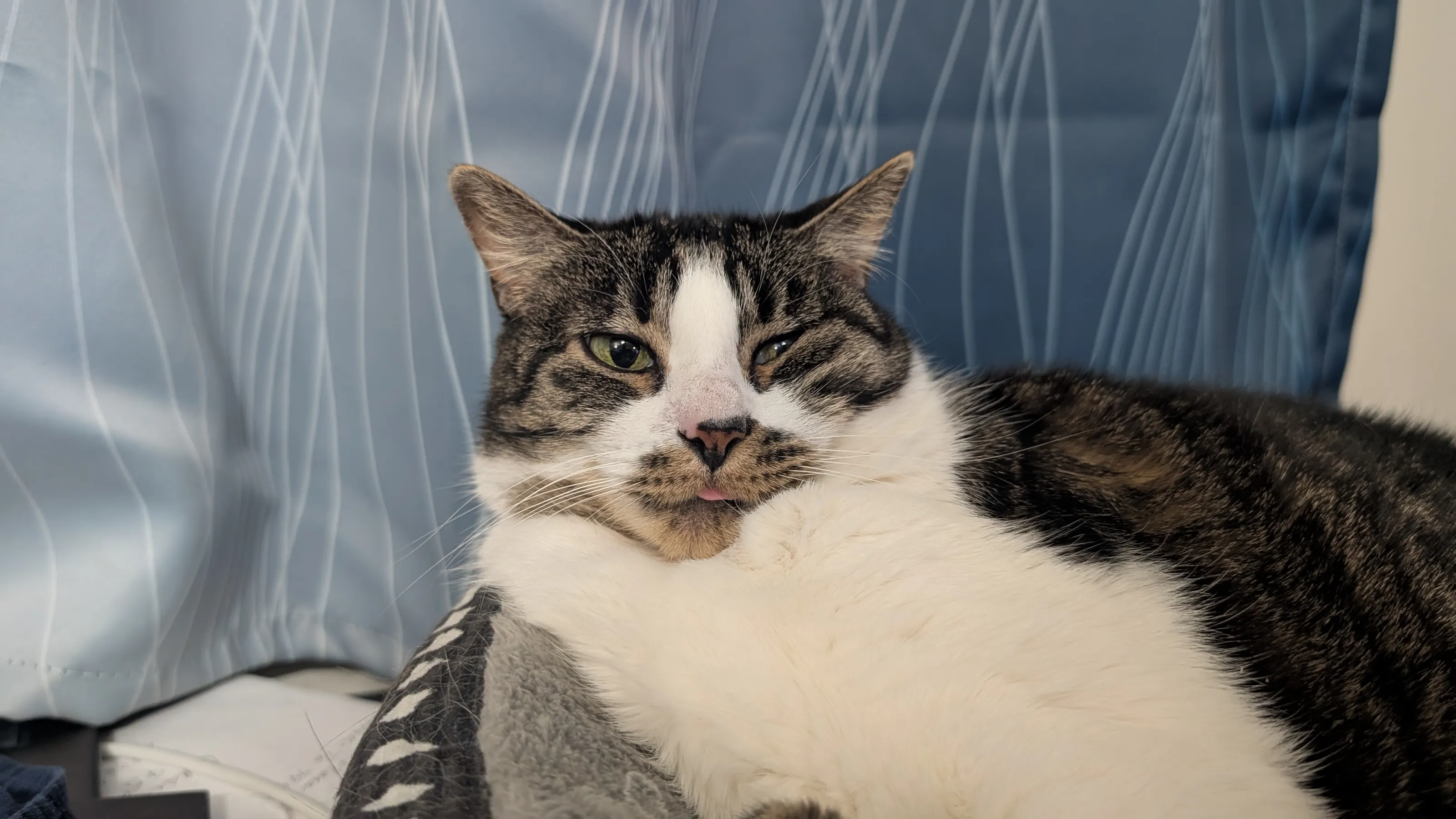 Bigred Designs | Accueil - MakerWorld